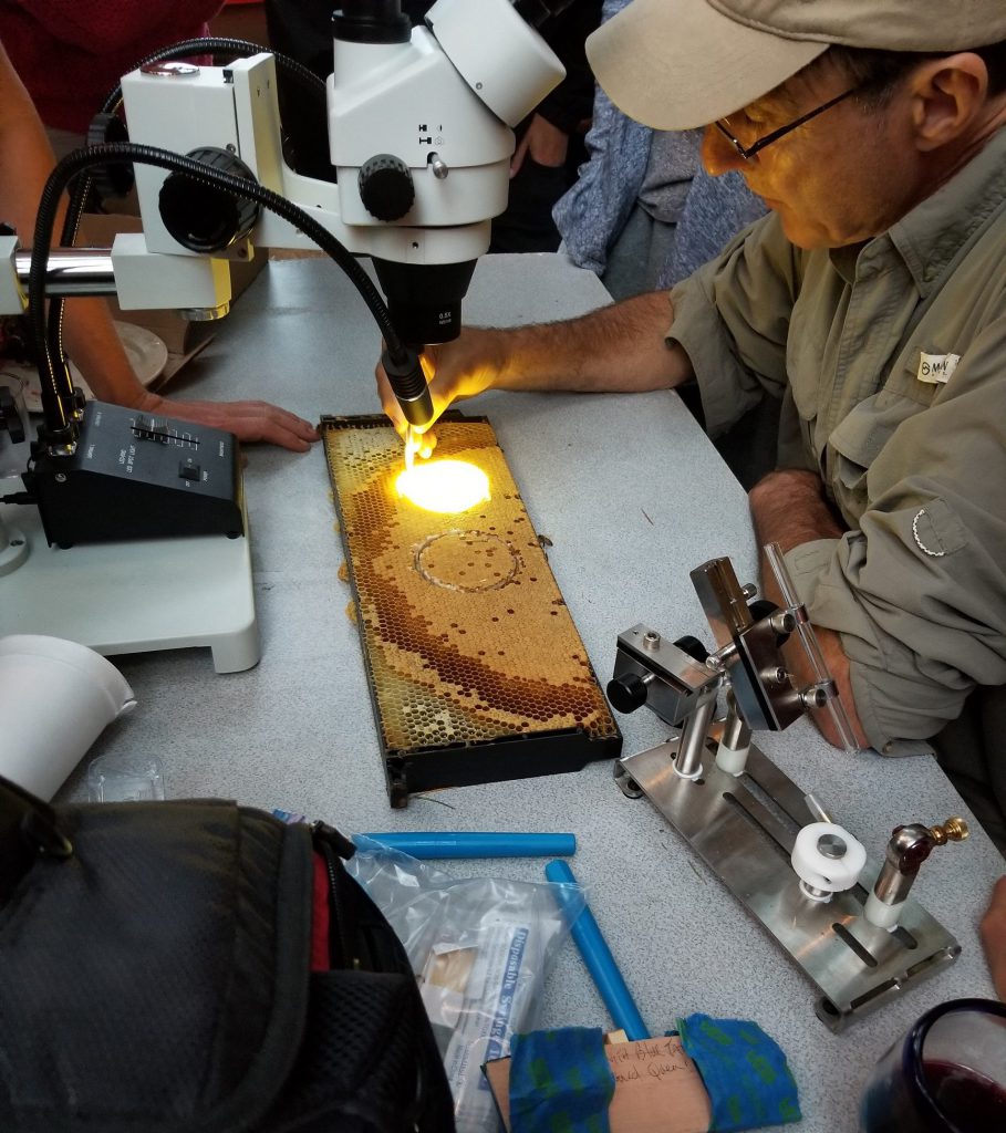 Our Team – Ensure Hive Future