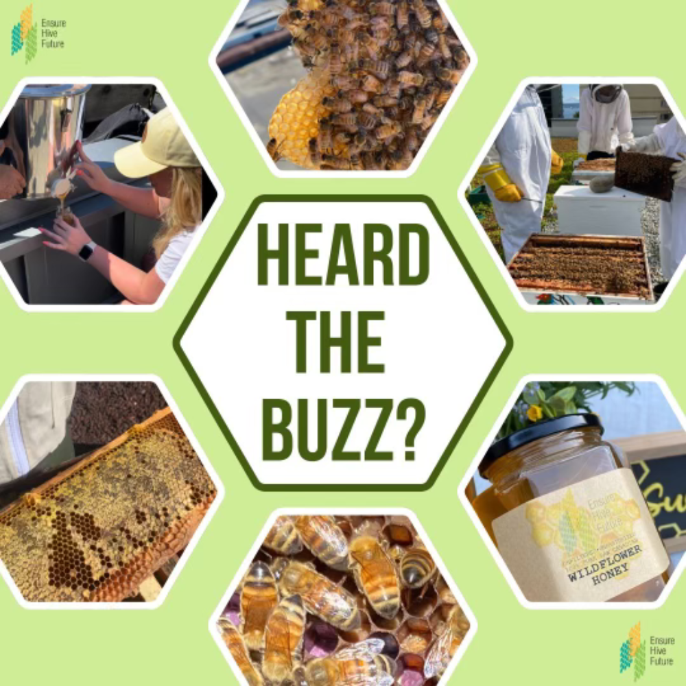 Uncategorized – Ensure Hive Future