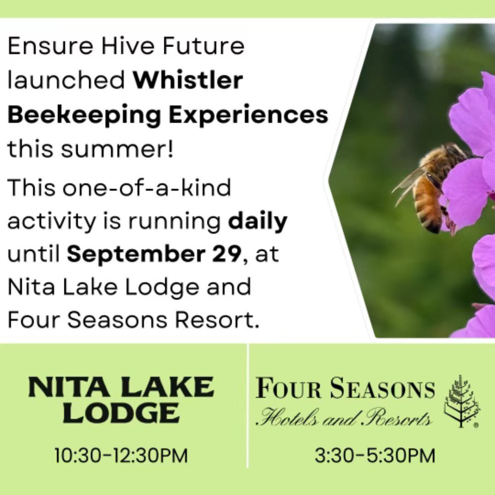 Whistler Beekeeping Experiences – Ensure Hive Future